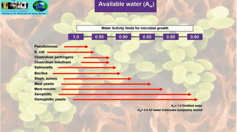 Water Activity for Bacteria – Food Safety Training