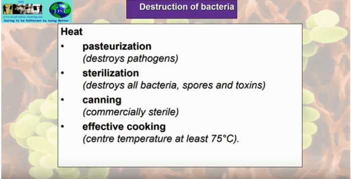 How To Destroy Bacteria – Food Safety Training