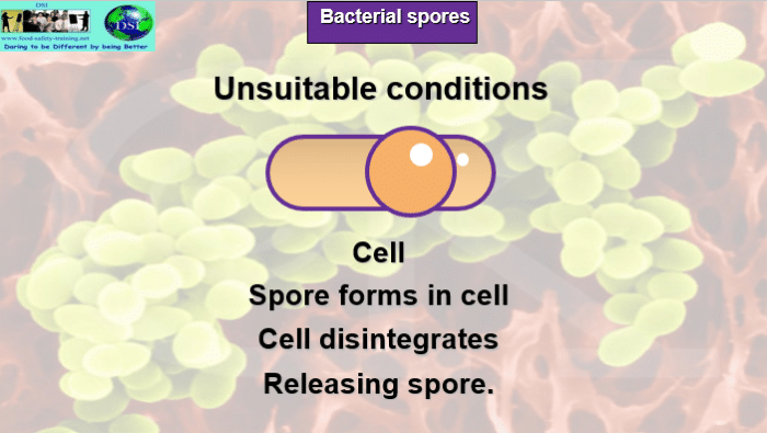 Spores and Toxins of Bacteria – Food Safety Training