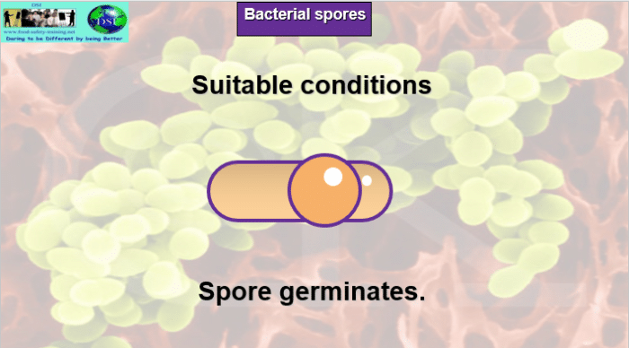 Spores and Toxins of Bacteria – Food Safety Training