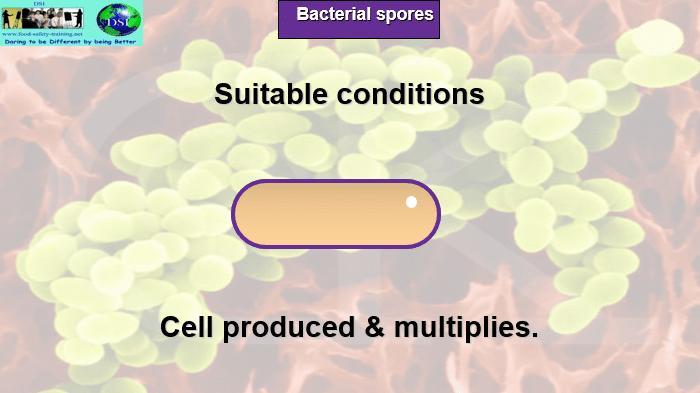 Spores and Toxins of Bacteria – Food Safety Training