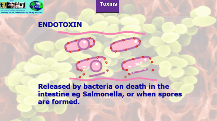 Spores and Toxins of Bacteria – Food Safety Training