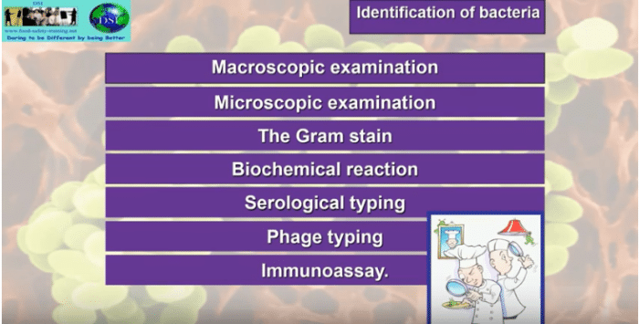 Identification of Bacteria – Food Safety Training