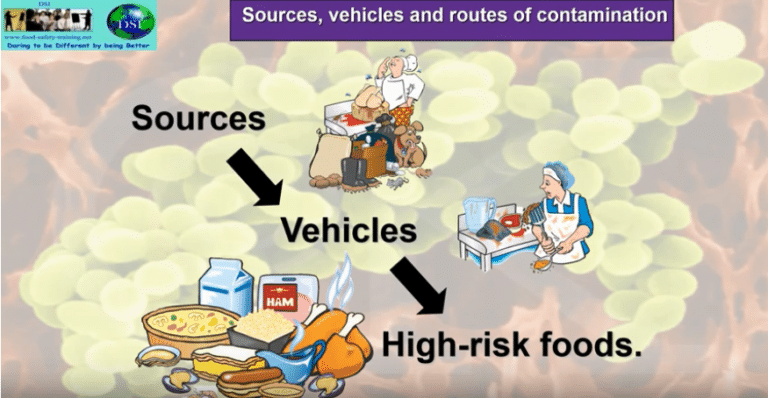 Sources, vehicles and routes of bacterial contamination – Food Safety ...