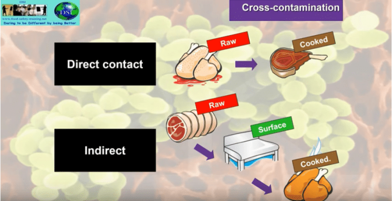 Sources, vehicles and routes of bacterial contamination – Food Safety ...